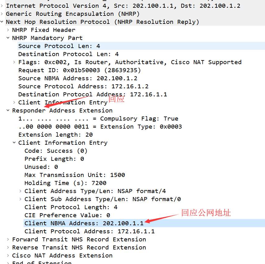 DSVPN基础原理 | 曹世宏的博客